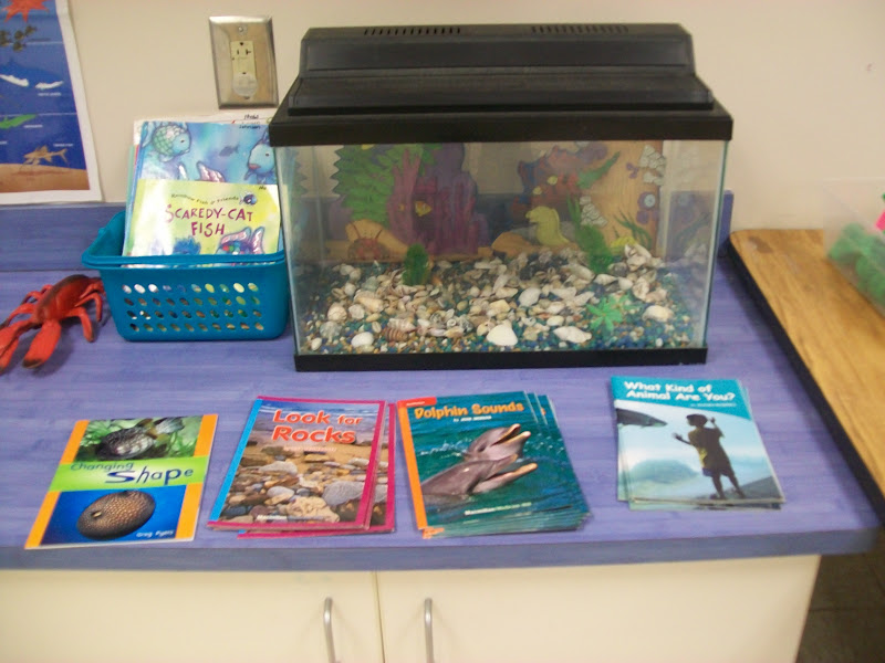 Cozy Kindergarten: Ocean Exploration Room