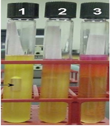 Most Probable Number (MPN) Test for Water (Viable Cells) | Learn ...