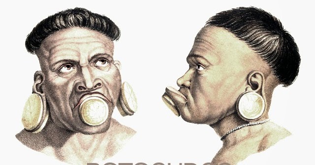 Blog da Profª Isabel Aguiar: OS ÍNDIOS BOTOCUDOS