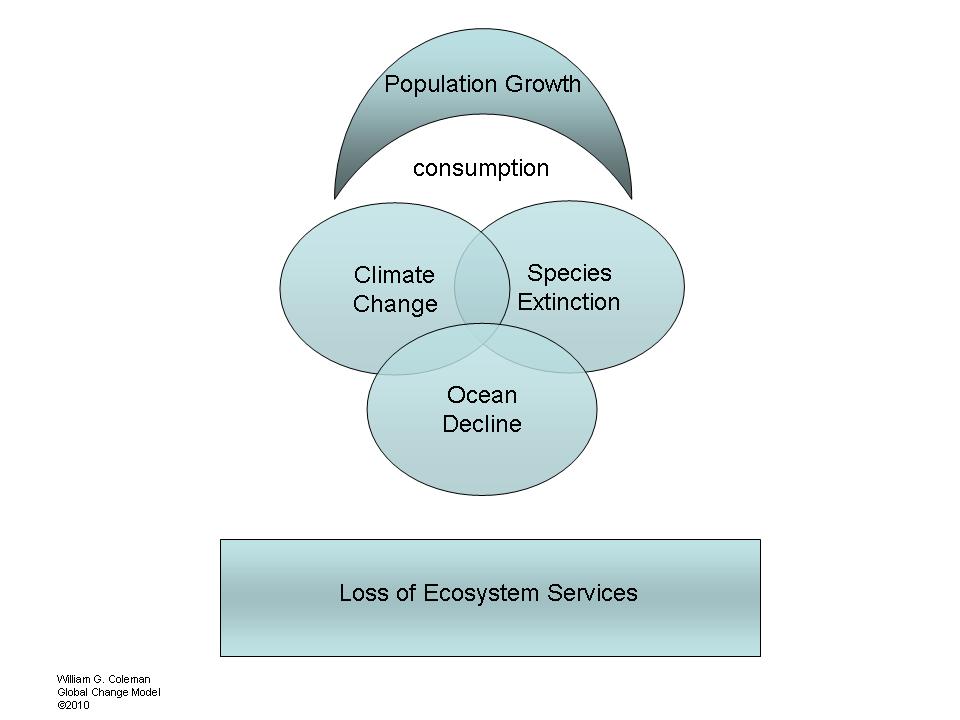 Global Environmental Change: How Global Change Works