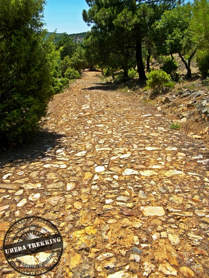 ÚBEDATREKKING : RUTA 075 - (OT) - MIRANDA DEL REY, PICO ESTRELLA ...