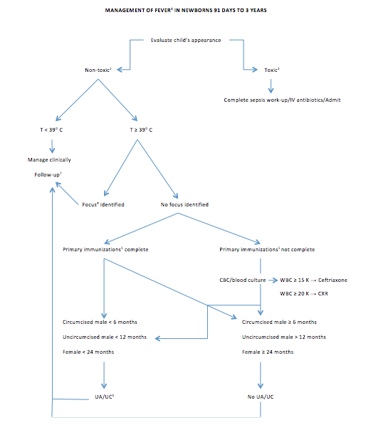 ECC EDUCATION: Management of Fever in Infants: 91 Days to 3 Years