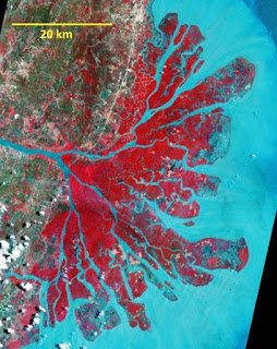 Unsur-unsur Dasar Delta ~ NeededThing