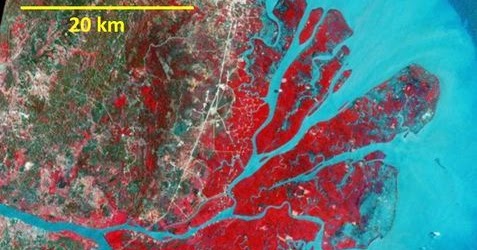 Unsur-unsur Dasar Delta ~ NeededThing