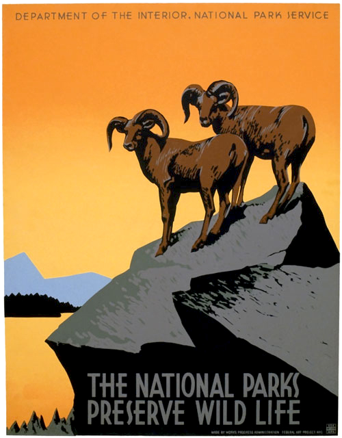 Animalarium: Progressive Posters