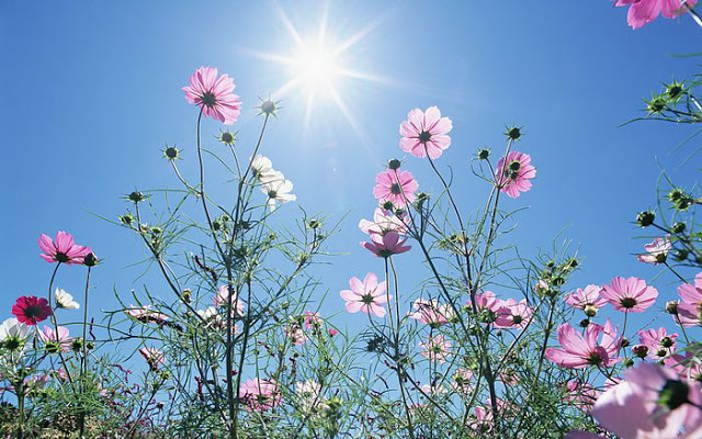 20+ Beautiful Sun & Moon Photographs - The World Of Photography