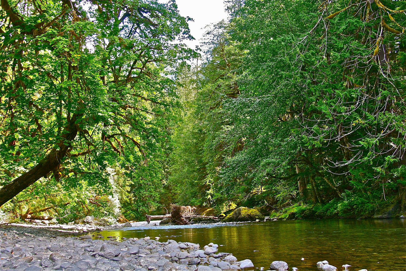 Olympic Peninsula Hikes, Guides and Updates: Staircase: Step up into ...