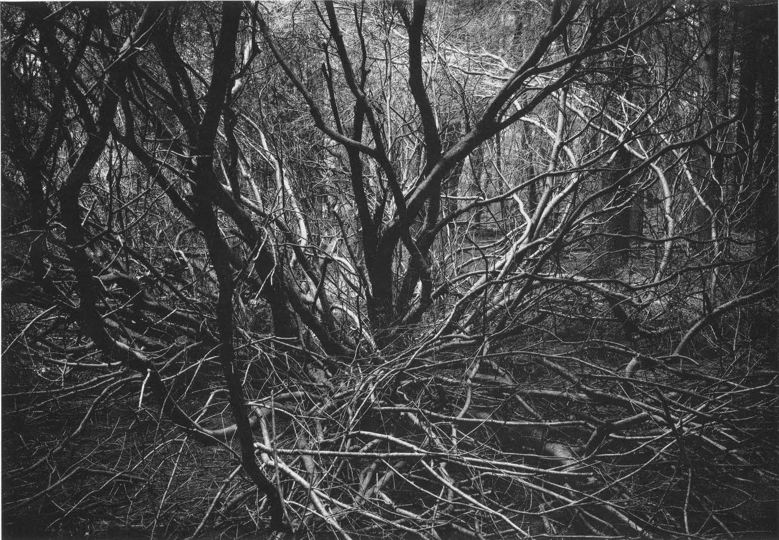 Click. Photography: Inspiration #1 - Thomas Joshua Cooper