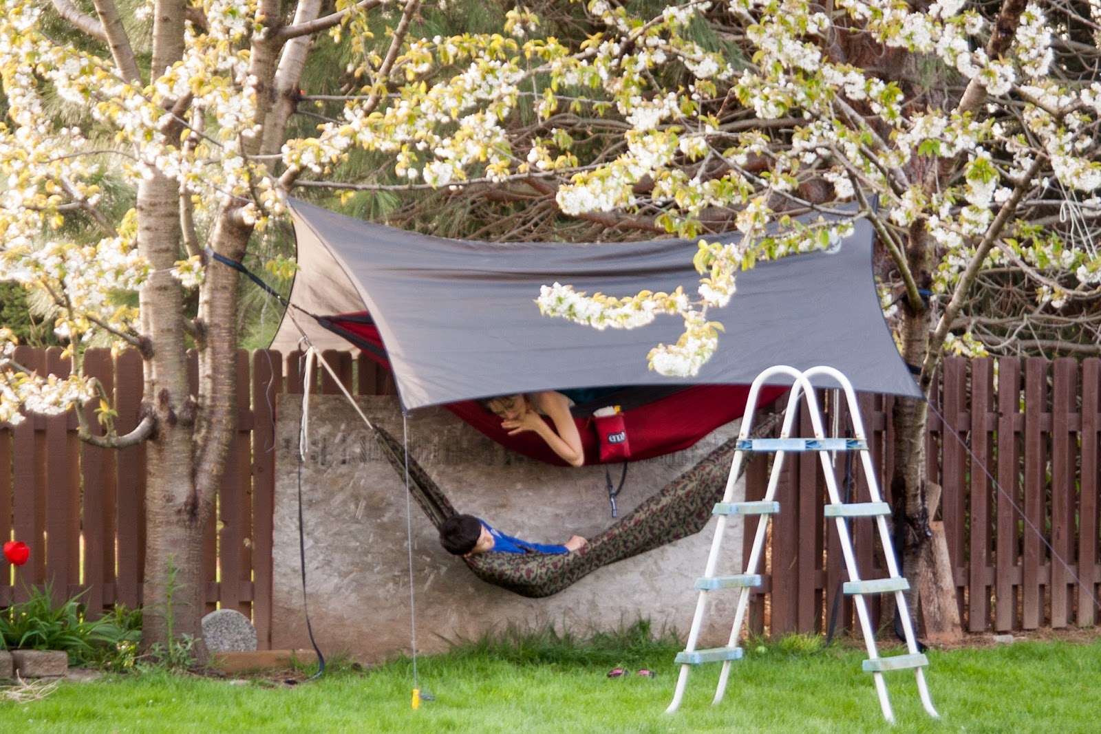 Hammock Time - Parks Academe