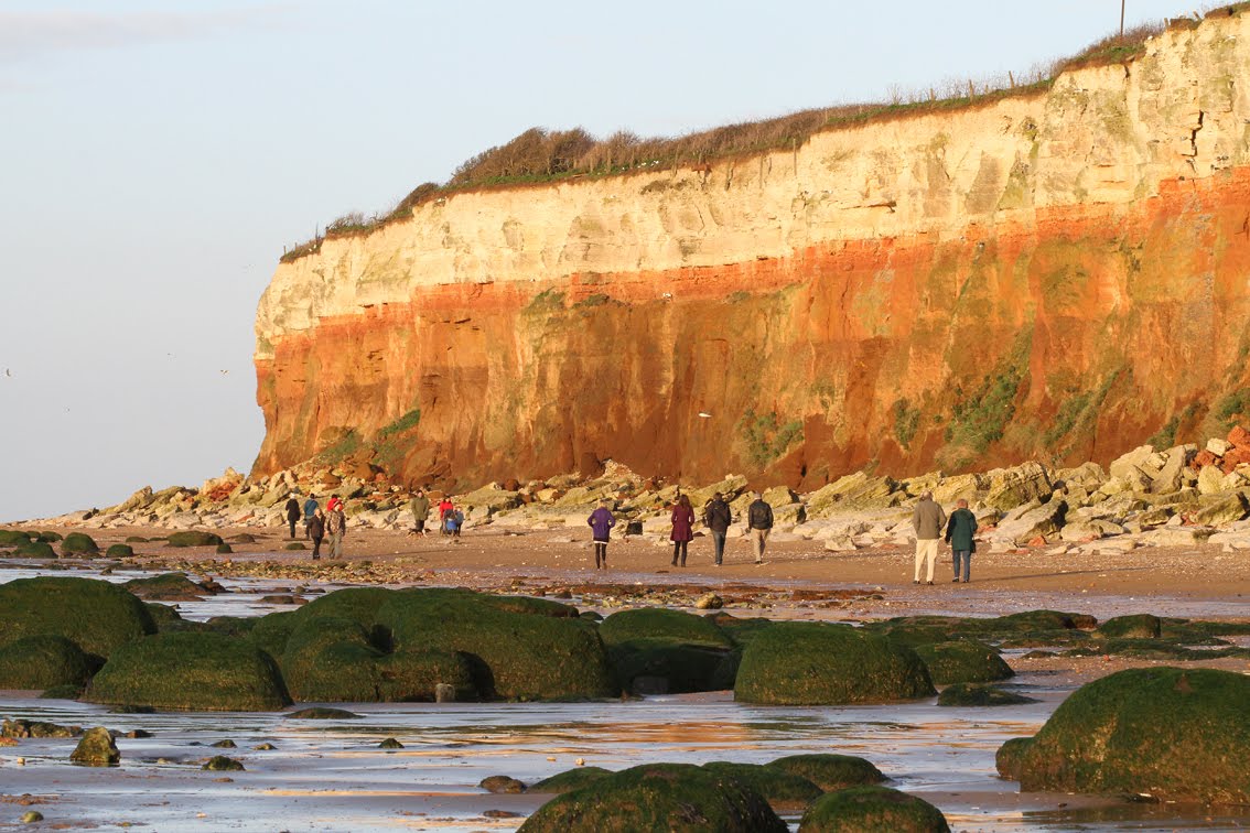 Penny's Hot Birding and Life!: Hunstanton Cliffs