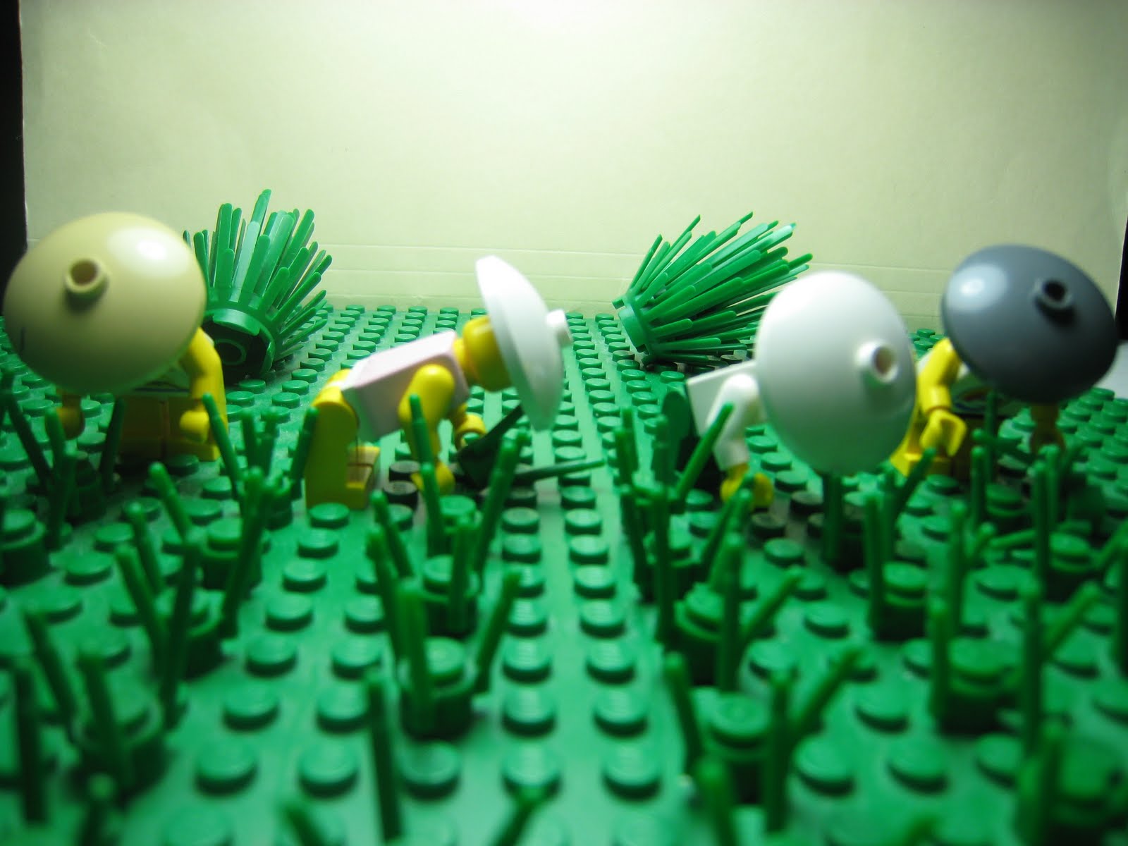 Lego R us: Viet Nam rice field