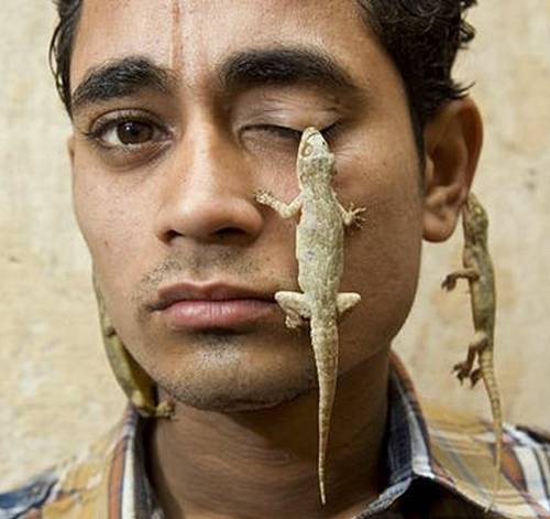 Amazing Indian Lizard Boy Playing with Lizards - Navratan Harsh from ...