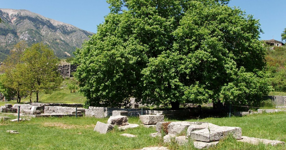 OMAIMON PARADOSIS: The Oak Tree, a Natural Monument