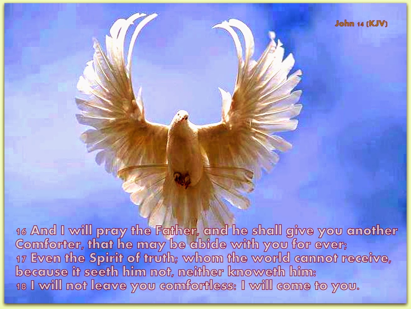 Red Pill Diaries: John 14 (KJV)