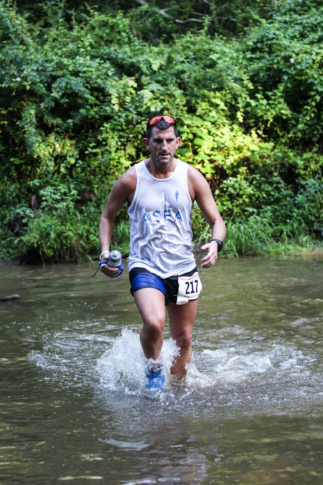 See Dane Run: Rabbit Apparel Review