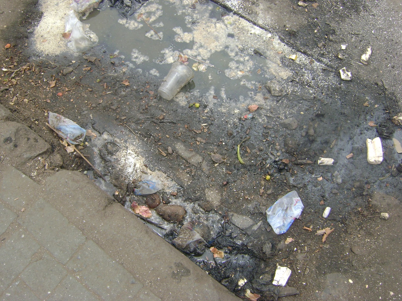 THE ENVIRONMENT: WHAT ARE THE CAUSES OF POOR SANITATION IN GHANA?