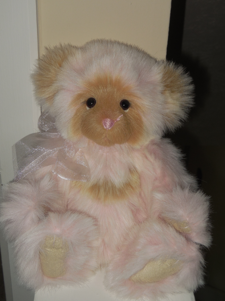 VVD Charlie Bears: 2018