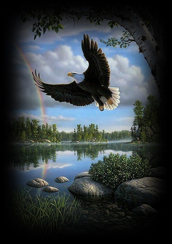 l'antro celtico: aquila animale totem