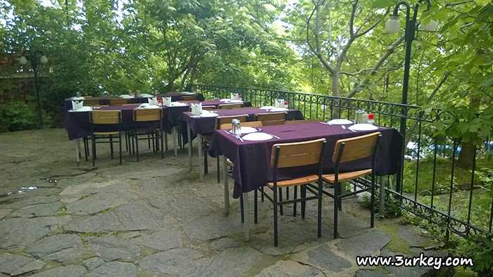 الشجرة التاريخية في بورصة تركيا - دليل رحلتك ع تركيا