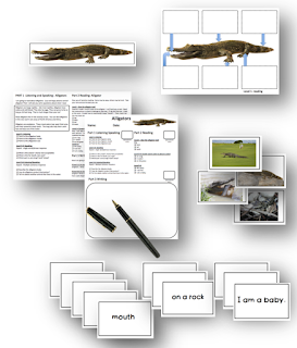 1: WIDA Practice Test for ESL KINDERGARTEN