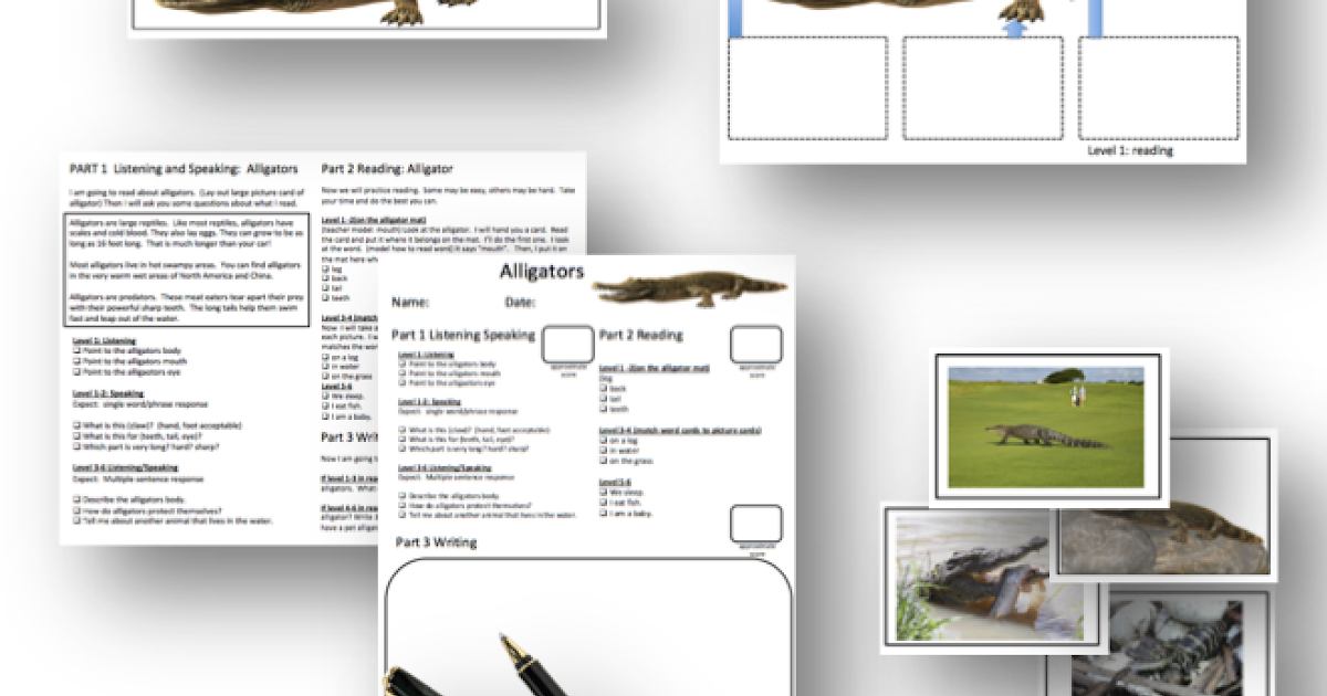 1: WIDA Practice Test for ESL KINDERGARTEN