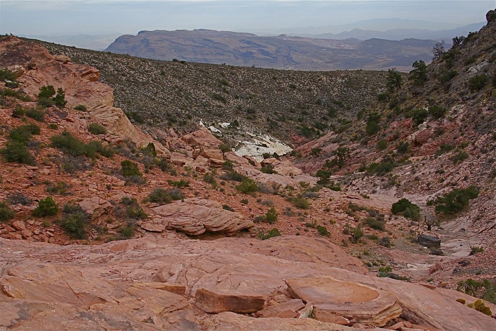 Wildfilm: Keystone Thrust Fault