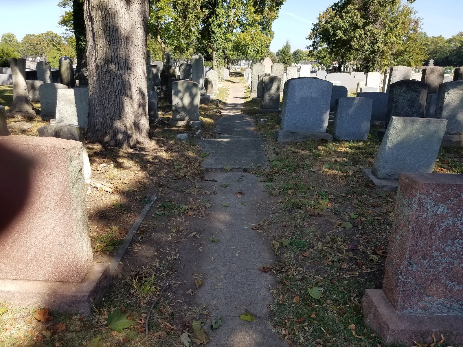 TrentonJewishHS: Cemetery - Workingmen's Circle - Cedar Lane