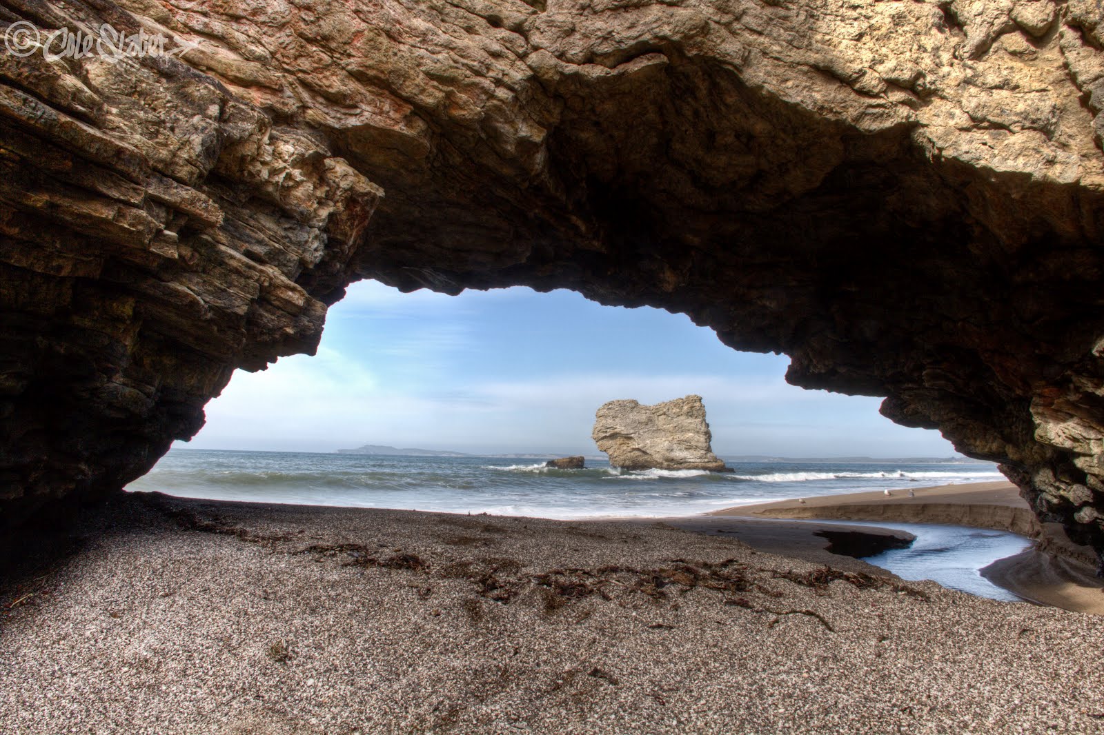 Cole's Trail Tales: Point Reyes - Arch Rock to Mt. Wittenberg Hike - 2 ...