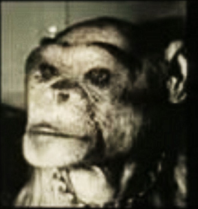 Humanzee Oliver Documentary