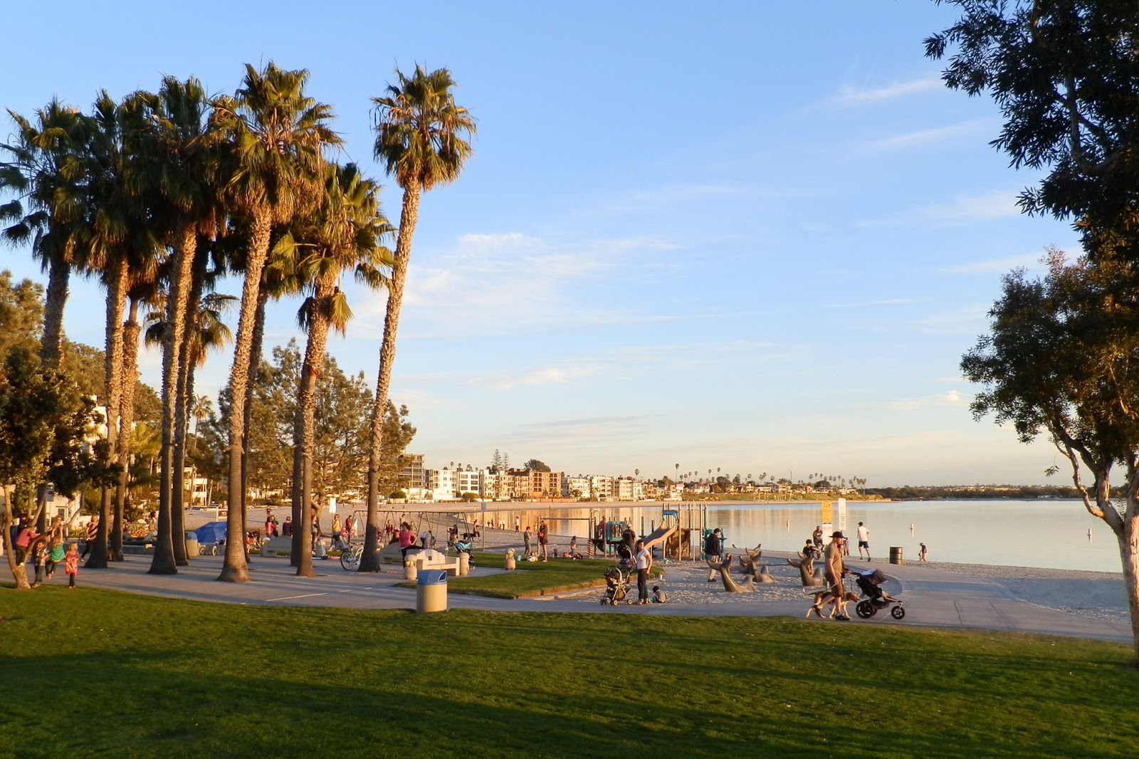 Where is Cookie?: A tale of two beautiful bays: icons, ships, landmarks