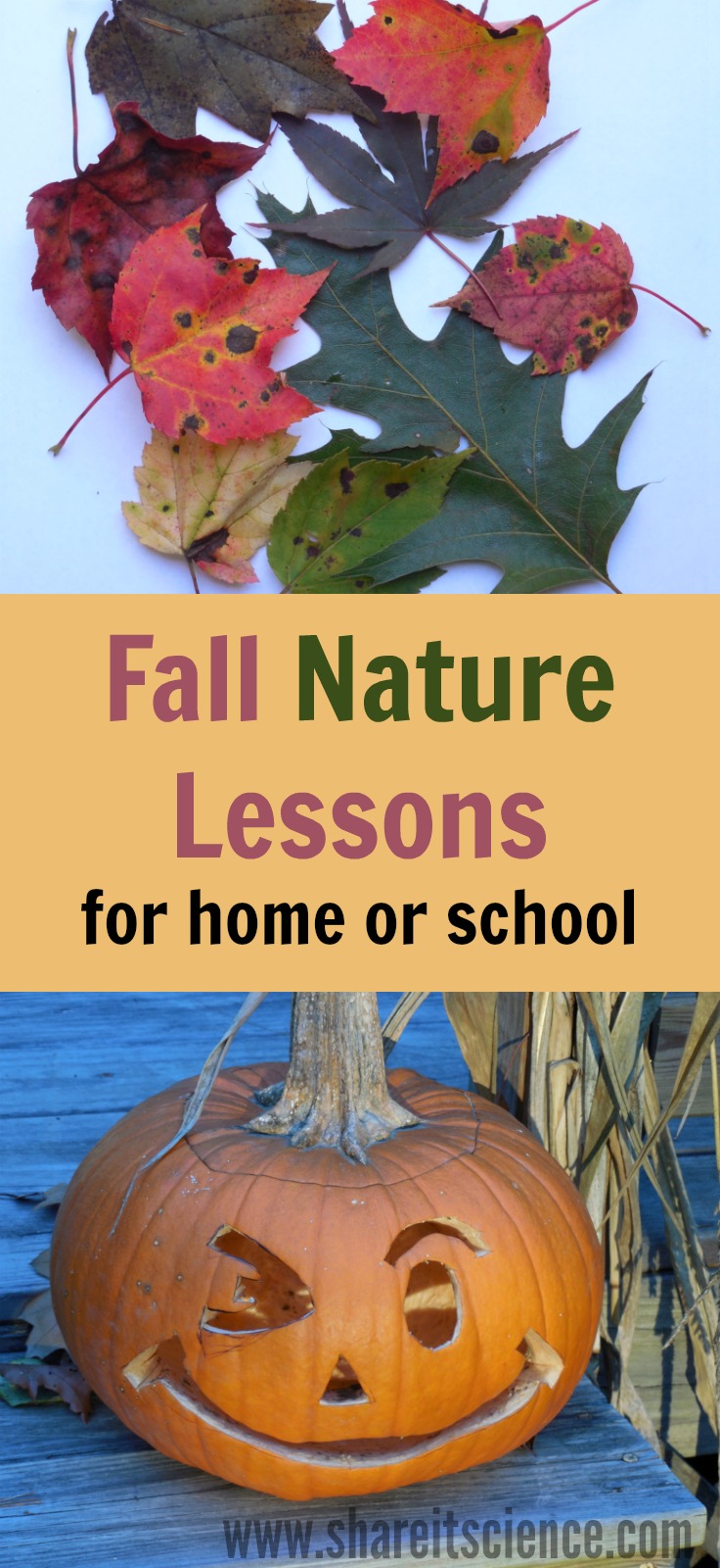 Share it! Science : Harness the Power of Nature this Fall!