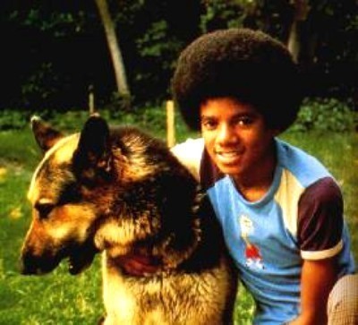 Michael Jackson My Obsession: El amor de Michael por los animales y sus ...