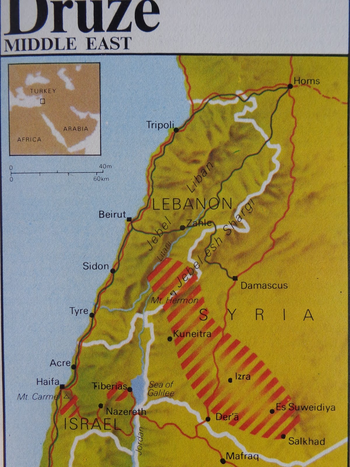 SUSTAINABLE LIVING INSTITUTE (SAVE): DRUZE ARE MUSLIMS? ASK ZAHID