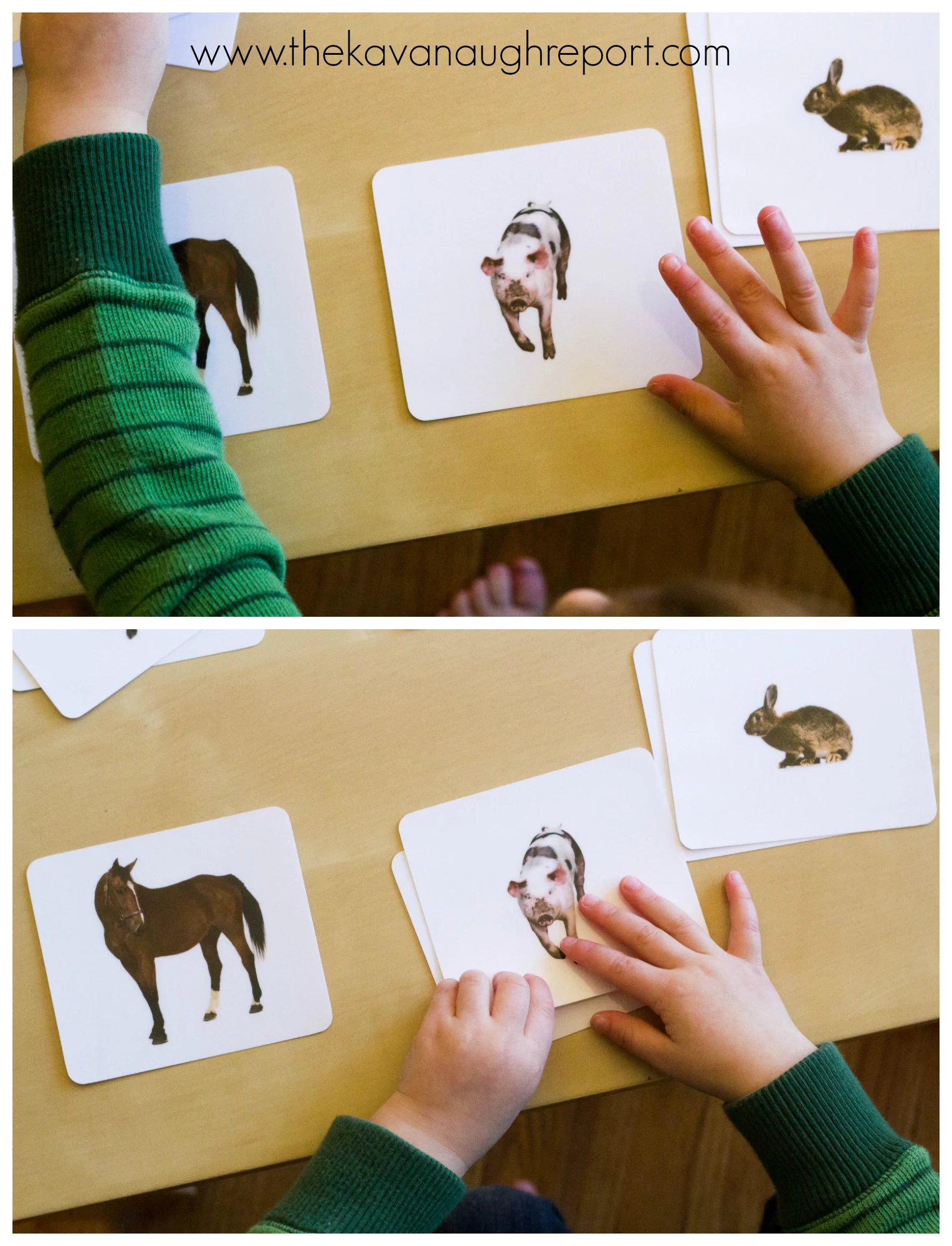 Picture-to-Picture Matching for Montessori Toddlers