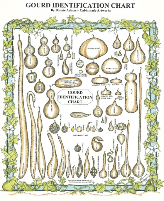 Periodically Gourds: January 2017