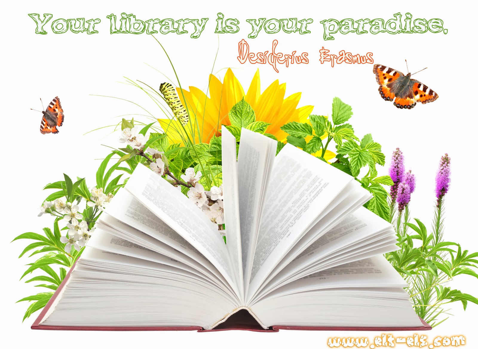 Educational wallpapers Learning & reading books | www.elt-els.com