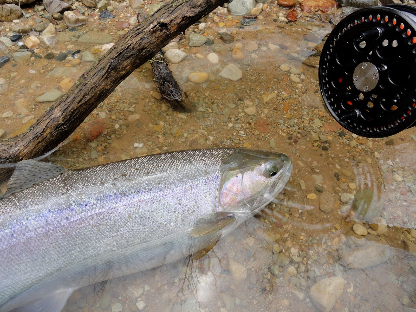 November Rains: The Tunk Hole