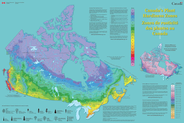 Canadian Country Woman