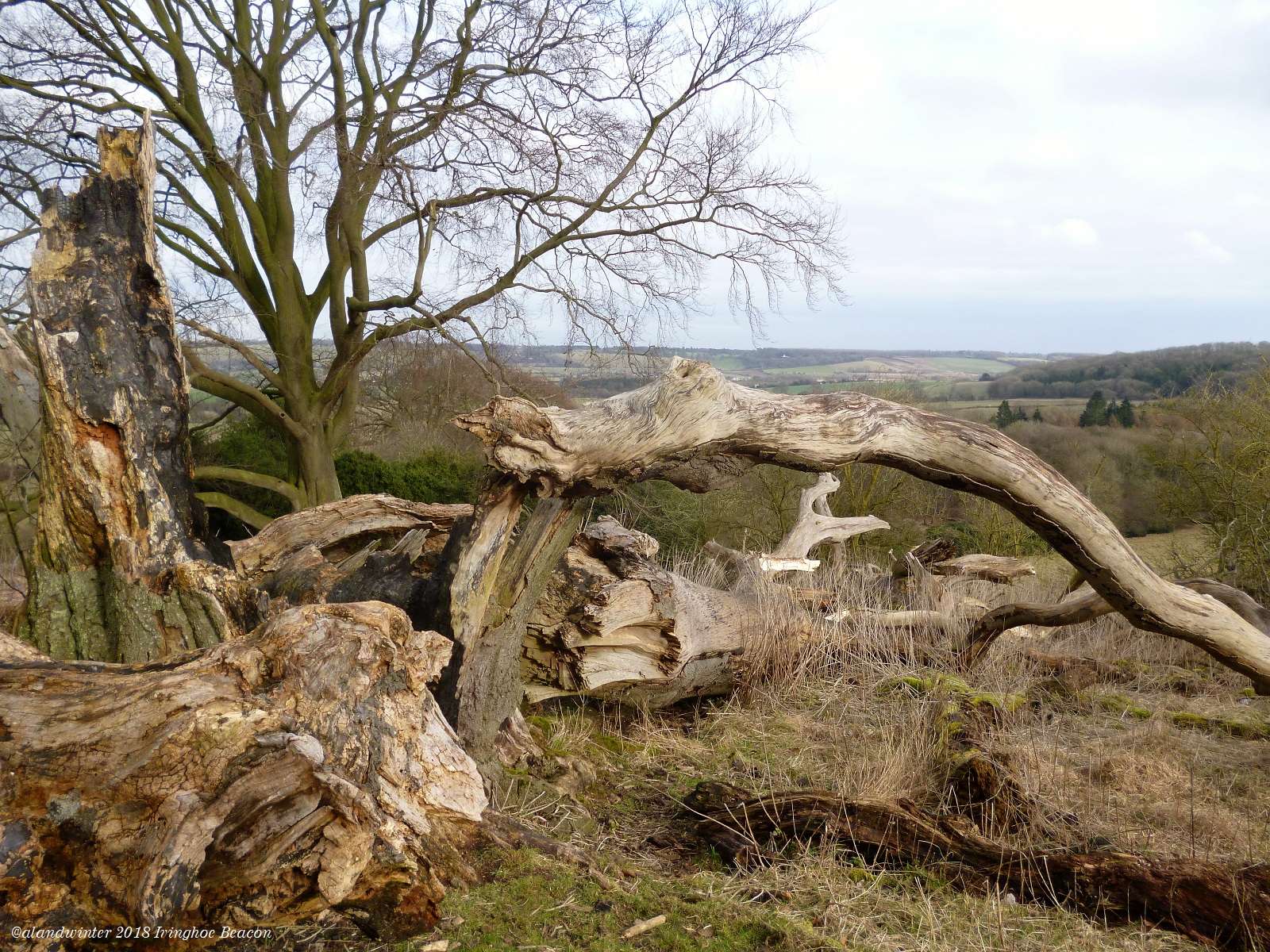 The Ivinghoe Beacon Walking Circuit 2018