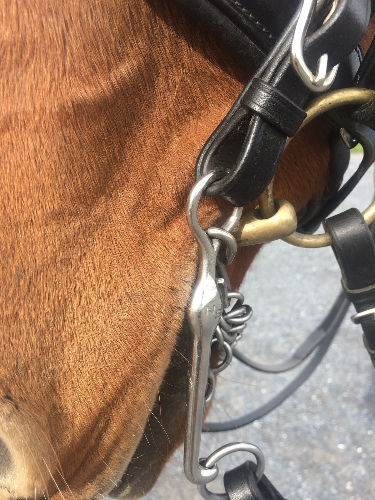 Stephen Birchall Clinic Part 2: The Return of the Double Bridle