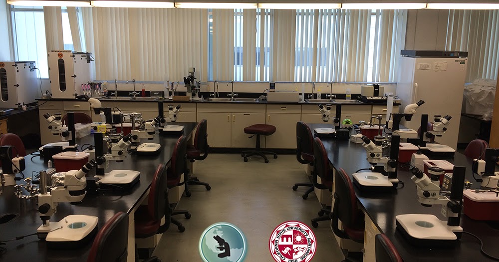 Microscope World Blog: University Microscope Lab