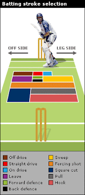 Cricket: Cricket Fielding Positions and Batting Shots