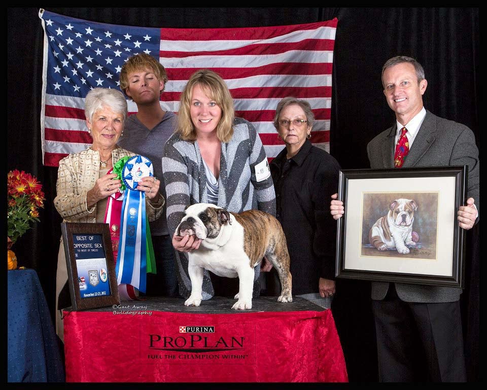 DOG SHOW POOP: 2014-03-16