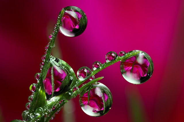 design planet: Amazing photos - Water drop reflections
