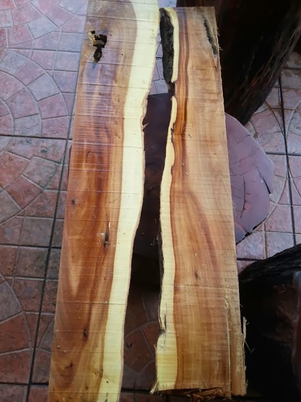 Kayu Warisan Malaysia: Sampir Banir kayu kemuning emas