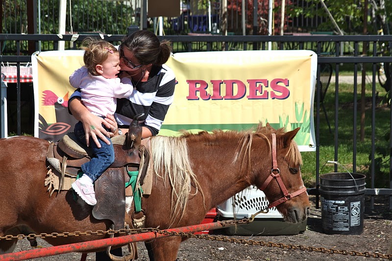 The Evolving Elseners: Pony Rides