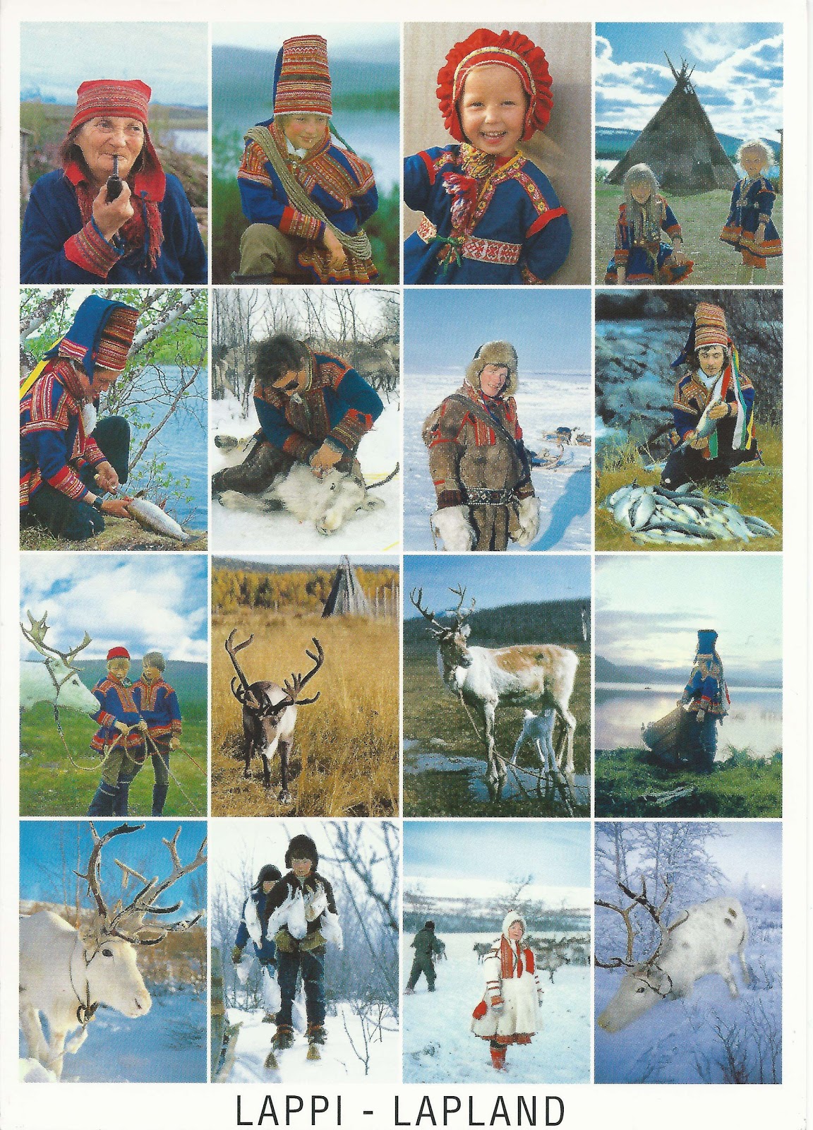 A Journey of Postcards: Suomi - Finland - Lappi - Lapland - Poro - ren ...