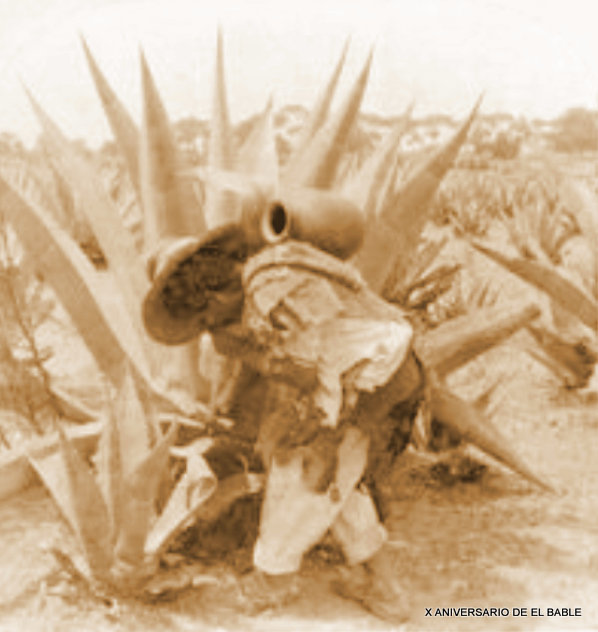 El Bable: Acerca del pulquero y de las pulquerías, Ciudad de México, 1904