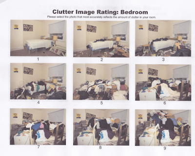 Five Hundred Pound Peep: Where Are You on the Clutter Scale?