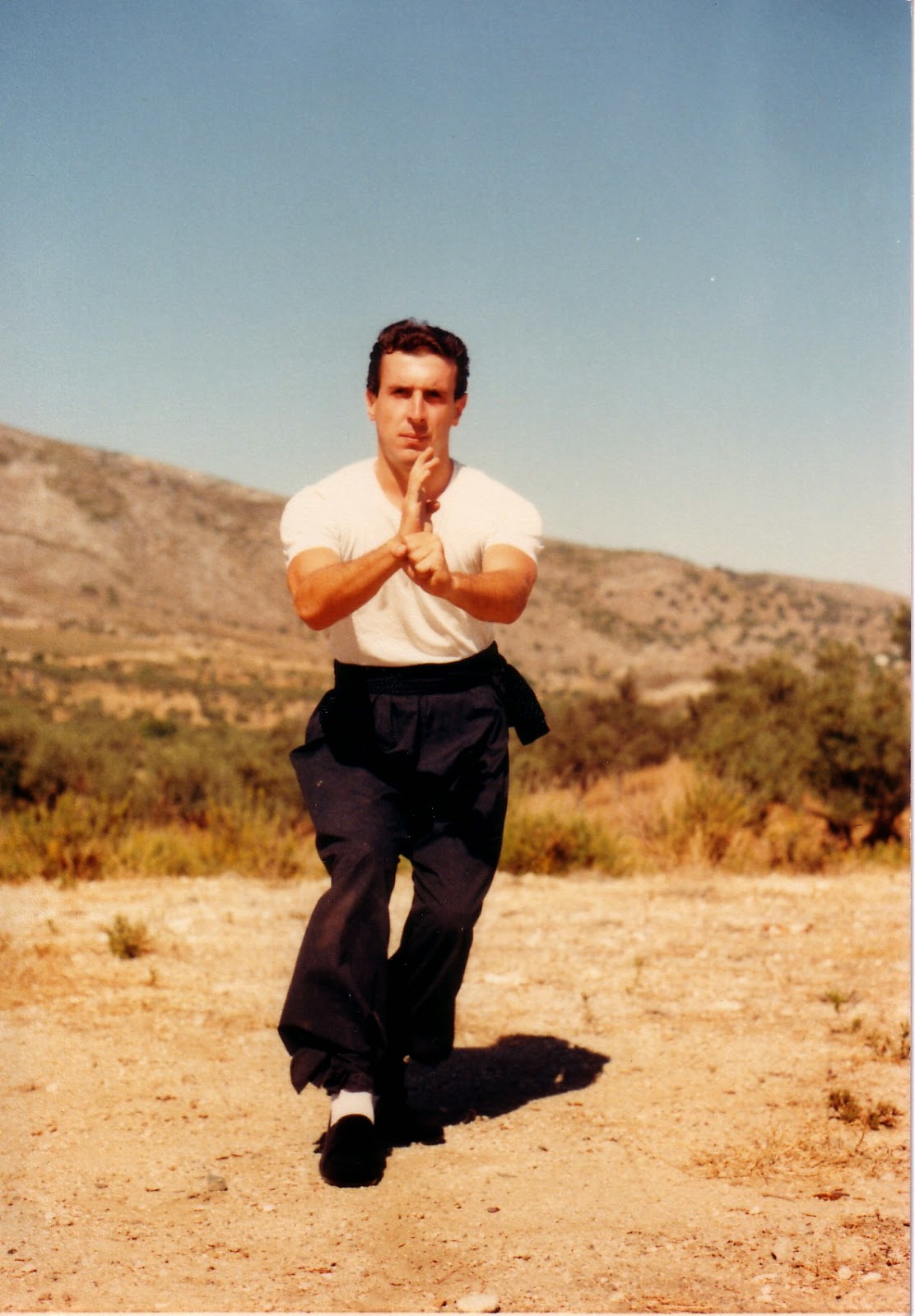 PAK MEI,Ceja Blanca,White Eyebrow, Asociacion Cheung´s Pak mei Kung Fu ...
